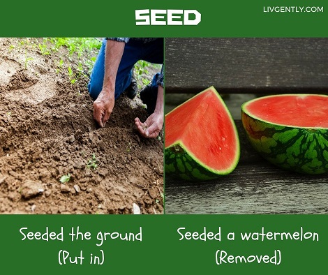 What is a contronym?